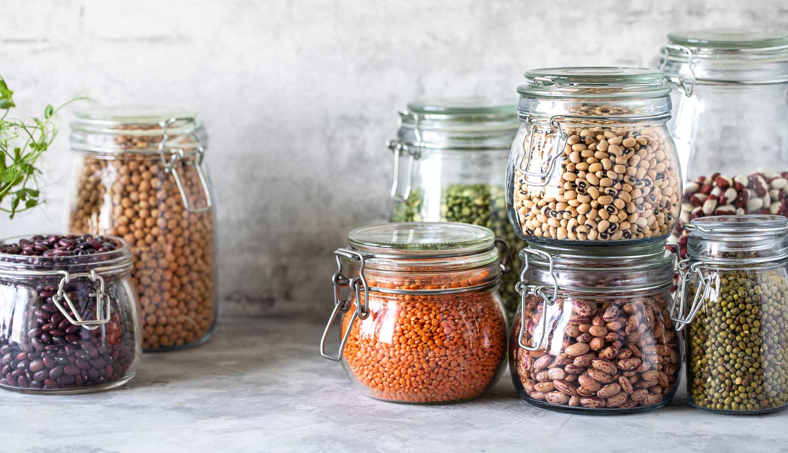 Surprising Benefits of Antiviral Herbs | HolleyOak